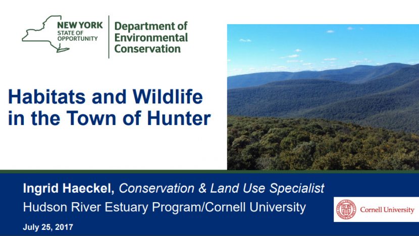 Habitats and Wildlife in the Town of Hunter - Town of Hunter, NY